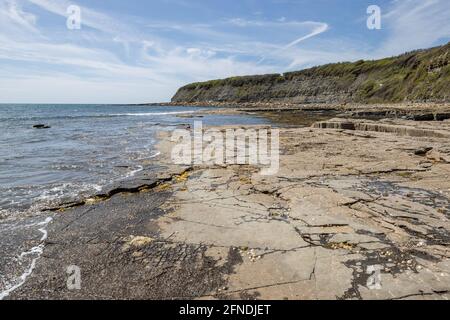 Kimmeridge Ledge, dolomite ledge, Kimmeridge Bay, Kimmeridge, Isle of ...