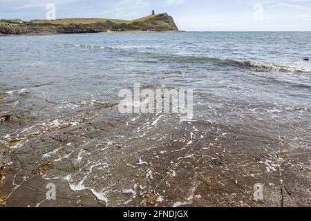 Clavell Tower, aka Clavell Folly Kimmeridge Tower, Low tide of seaweed ...