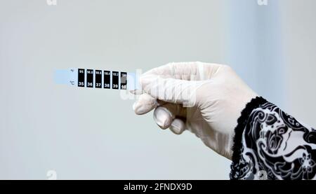 Fast Check Forehead Thermometer Strip. for Home or School. Reusable ...