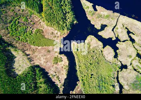 Aerial view of river floodplan and green forest in summer day. Bird eye ...