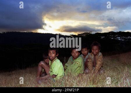 Children playing in the Ermera district. [automated translation] Stock ...