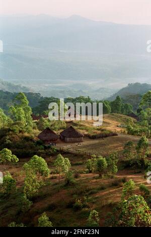 Settlement in the highlands of East Timor (Ermera District). [automated ...