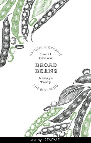 Hand drawn broad beans design template. Organic fresh food vector ...