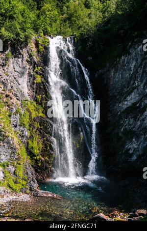 Vertical scenic view of a foamy waterfall in a forest full of lush ...