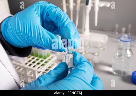 Crop anonymous scientist in disposable gloves with liquid in small ...
