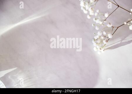 Trendy delicate background with natural sunbeam on marble surface ...