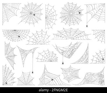Spider web Halloween set, cobweb, spooky insect net collection design ...