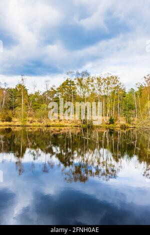 The Fishpool with reflections of lakeside trees in the Gracious Pond ...