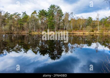 The Fishpool with reflections of lakeside trees in the Gracious Pond ...