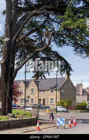 15 May 2021. Maisondieu Road, Elgin, Moray, Scotland, UK. This is a ...