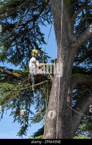 15 May 2021. Maisondieu Road, Elgin, Moray, Scotland, UK. This is a ...