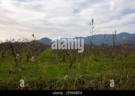 A mesmerizing shot of a landscape under the cloudy sky Stock Photo - Alamy