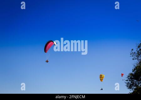 Multicolored paragliders flying against the blue sky Stock Photo - Alamy