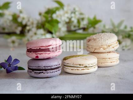 Several colorful macaroon cakes decorated with cherry blossoms on a ...