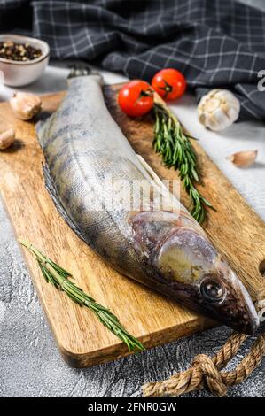 Zander, walleye with herbs. Raw fish. Gray background. Top view. Copy ...