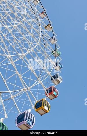 An amusement park ferris wheel stands in front of several palm trees ...