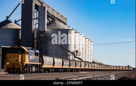 Long grain freight train at silo storage elevator site in Moree town of ...