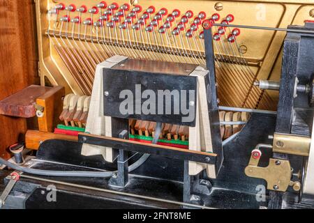 The bellows in a pianola Stock Photo - Alamy