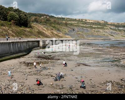 Church Cliff Walk seawall, East Cliff Beach, Lyme Regis, Dorset, United ...