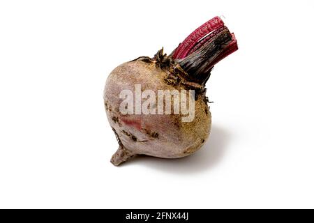 Whole leafless raw red beet root and a beet cut in half on a white ...