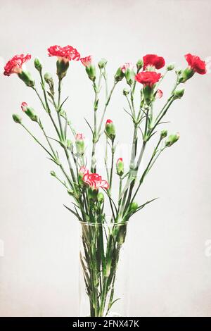 Bouquet of little red carnations in glass vase, close-up Stock Photo ...