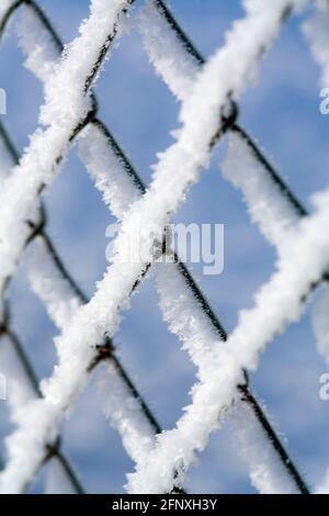 Chain link fences, Hoar frost, fog, winter, cold climates, frozen ...