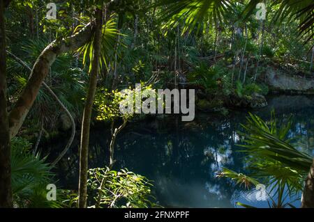 Cenote in Xel Ha, Mexican Caribbean Stock Photo - Alamy
