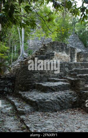 Coba Archaeological Site La Iglesia Pyramid Steps Coba Mexico // COBA ...