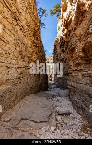 Empty Trail Through The Devils Hall in Guadalupe Mountains National ...