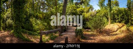 A sun light bridge surrounded by forest Stock Photo - Alamy