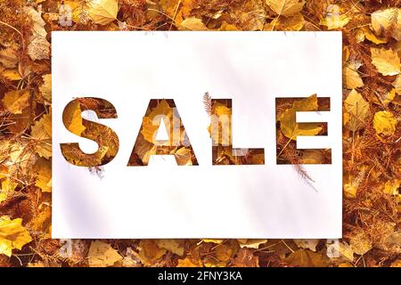 Autumn sale background with leaves, shopping sale or promo poster and ...
