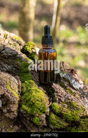 Cosmetic dropper bottle with green moss, cucumber and rocks on color ...