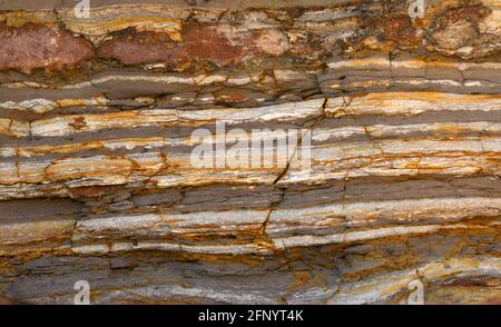 The banding of alternating layers of sandstones and fine dark mudstones ...