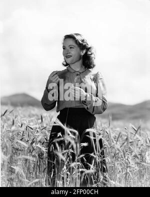 Whisky Galore (1949), Gabrielle Blunt Stock Photo - Alamy