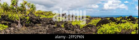 The Kipapa O Kikapi'ilani Trail, Waianapanapa State Park, Maui, Hawaii ...