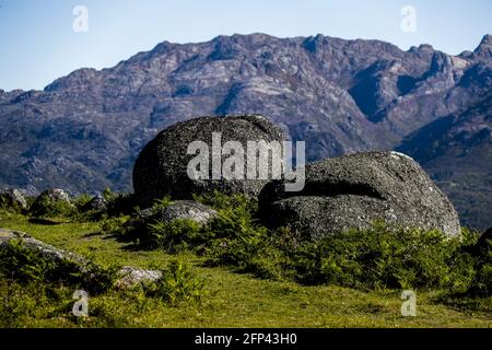 Matosinhos, Portugal. 20th May 2021. ambiance Atmosphere ambiance ...