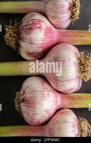 Fresh raw garlic on grey background Stock Photo - Alamy