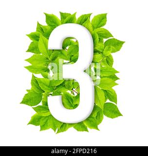 Number three shape with green leaves and red rowan berries. Nature ...