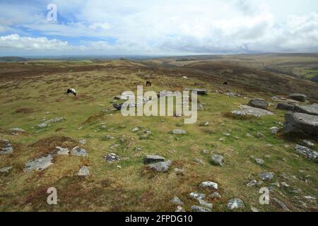 Sharp tor, Dartmoor, Devon, England, UK Stock Photo - Alamy