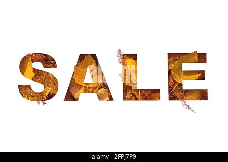 Autumn Sale text message with autumn maple leaves and pumpkins on ...