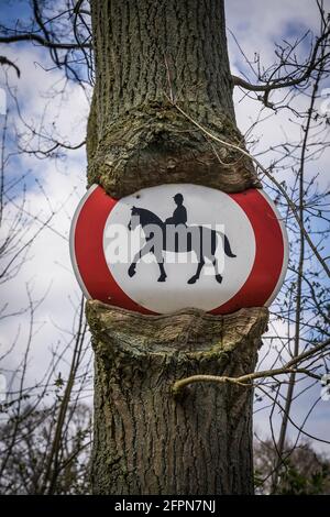 Exclusive - yellow sign with blue sky background Stock Photo - Alamy