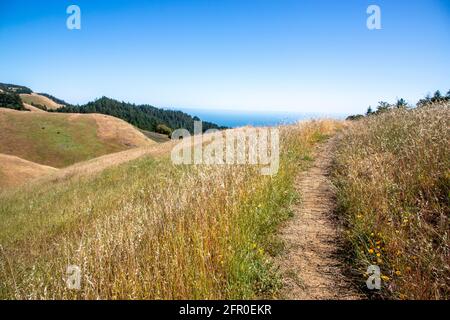 Mount Tamalpais rises along the coast of Marin County, Northern ...
