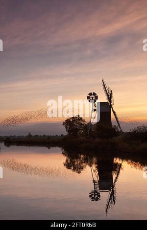 How Hill Windmill, Ludham at sunset Stock Photo - Alamy