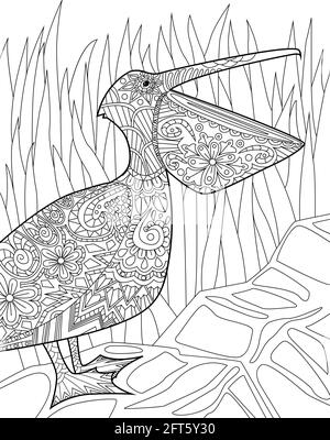 Tropical Birds Doodles On Trees, Hand Drawing Pelican, Line Image ...
