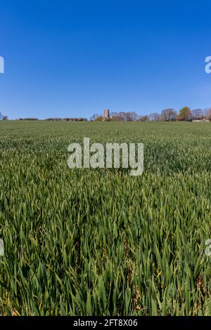 racton ruins folly west sussex england uk Stock Photo - Alamy