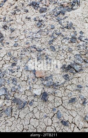 Agates and fossil mammal bones from 34 million years ago in Toadstool ...