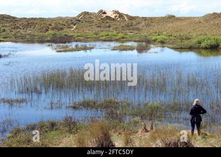 Dune Slack At Ainsdale Dunes Nature Reserve, UK Stock Photo - Alamy