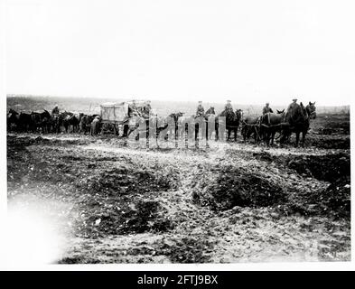 world war i, battle terrain, ww1, wwi, world war one Stock Photo - Alamy