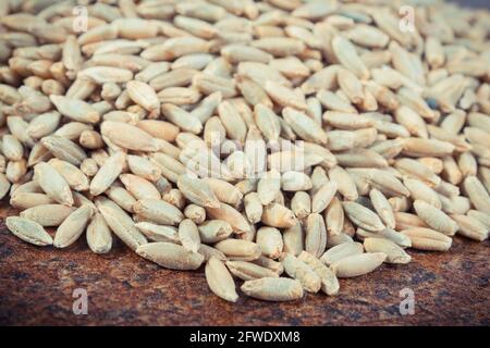 Heap of rye grain on old rustic background. Agriculture concept Stock ...