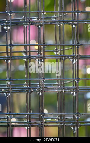 Raindrops on the wire mesh fence Stock Photo - Alamy